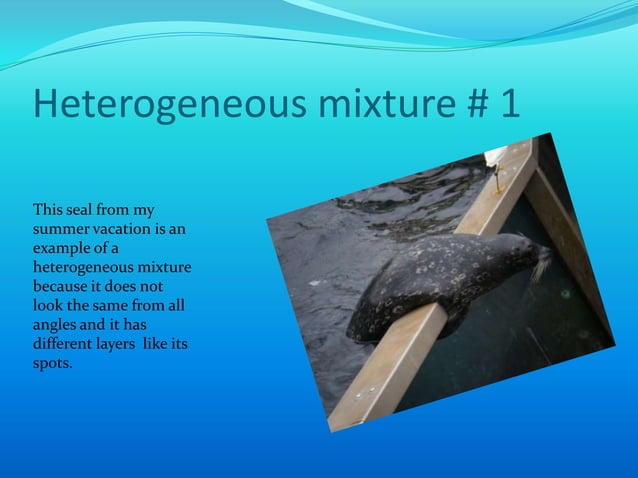 Classifying Matter Scavenger Hunt! | PPTX