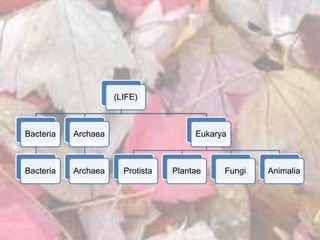 Ch. 1.2 Classification of Living Things | PPTX