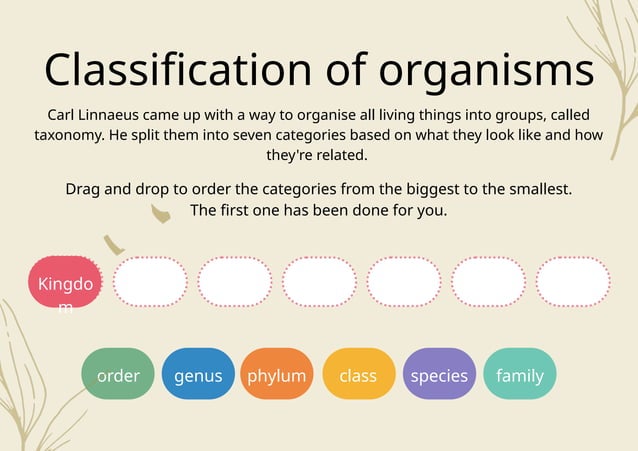 Classifying Organisms Digital and Printable Taxonomy Worksheet .pptx ...