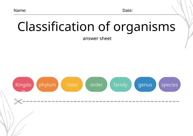 Classifying Organisms Digital and Printable Taxonomy Worksheet .pptx ...