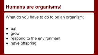 Classifying organisms part 1 (1) | PPT
