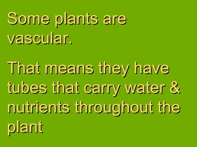Classifying Plants Ppt