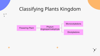 Classifying Plants fot Junior High Student | PPTX