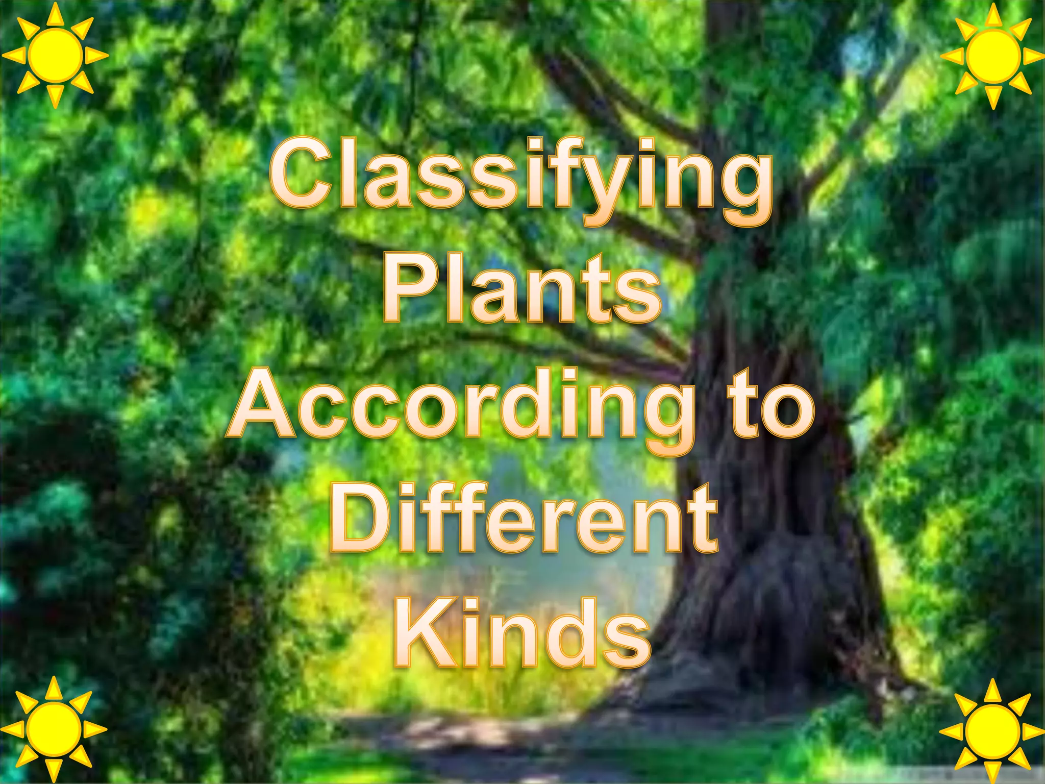 Classifying Plants According to Different Kinds | PPTX