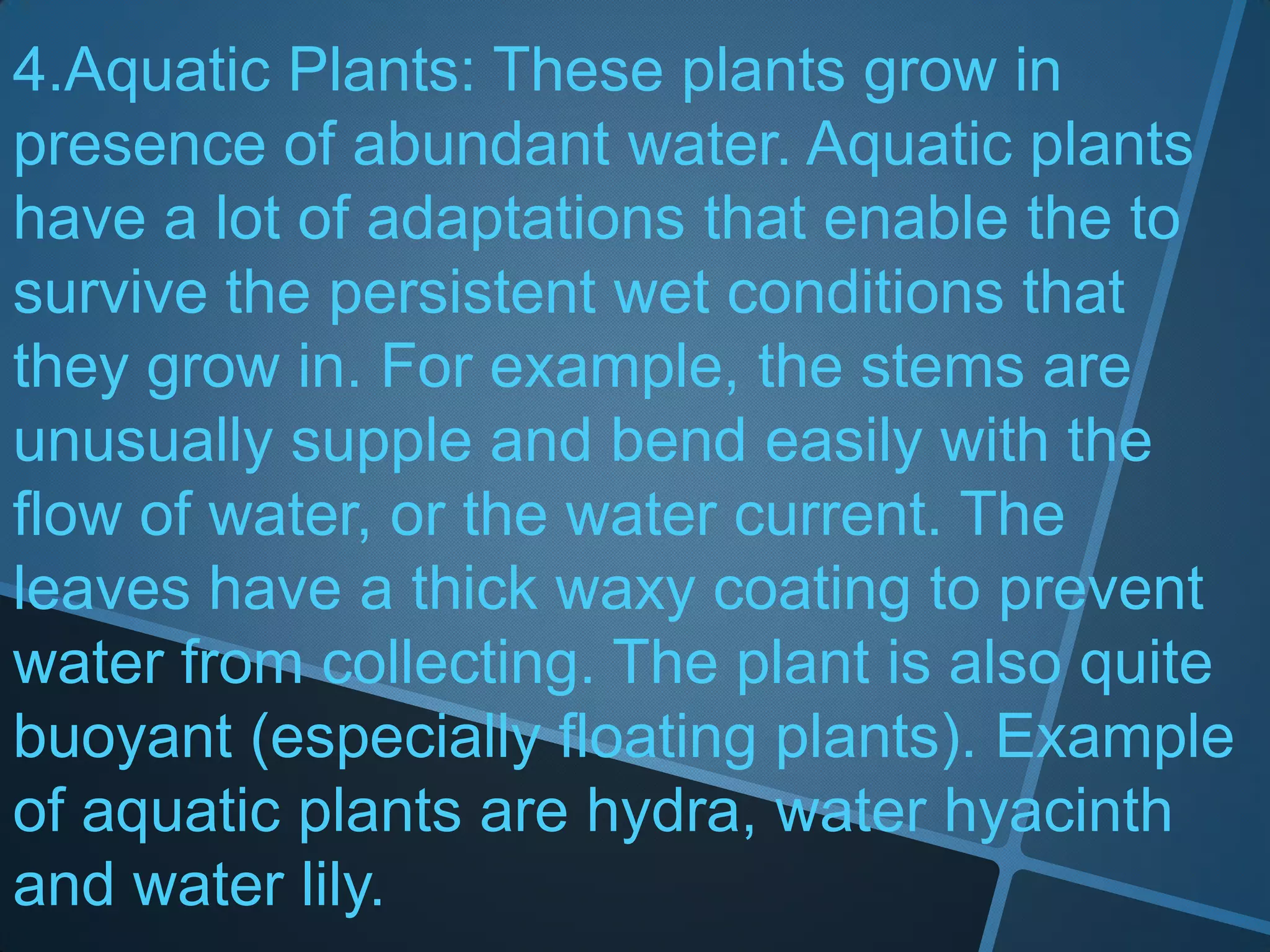 Classifying Plants According to Different Kinds | PPTX