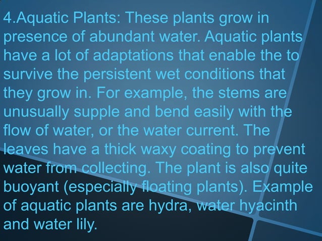 Classifying Plants According to Different Kinds | PPTX