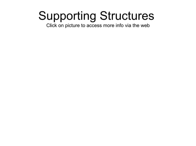 Classifying Structures Ppt
