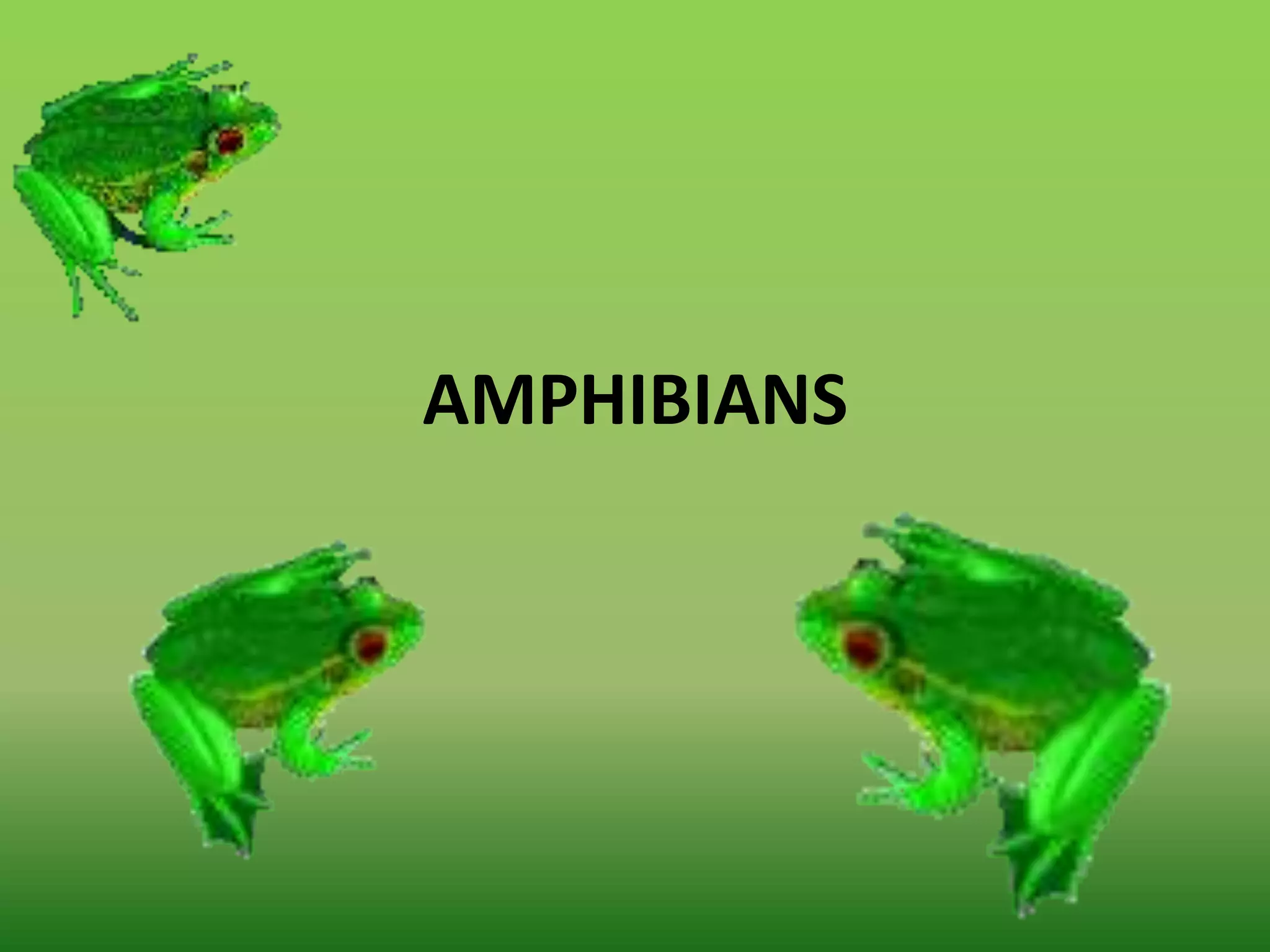 Classifying vertebrates (amphibians and reptiles) | PPT