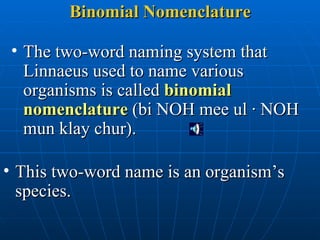 Classify Organisms Qand A | PPT