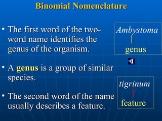 Classify Organisms Qand A | PPT