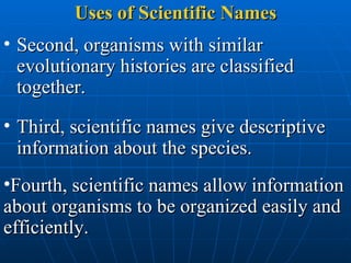Classify Organisms Qand A | PPT