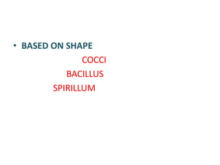 Classification of bacteria based on their shape | PPTX