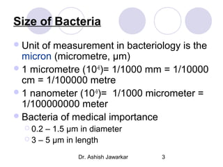bacterial morphology and classification | PPT