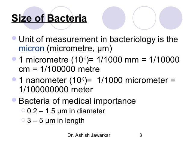 bacterial morphology and classification