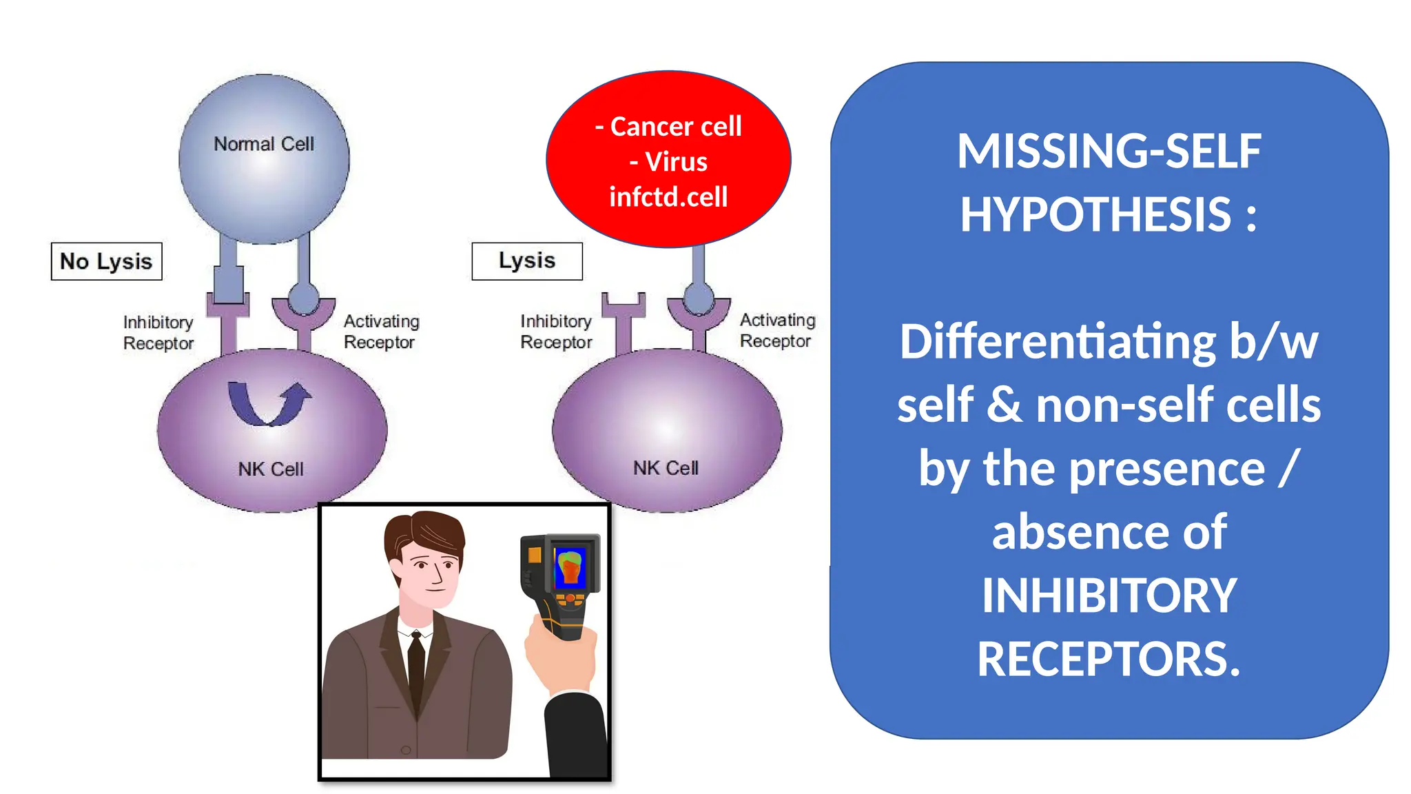 CLASS immunity Physiology mbbs 1st year _ | PPTX