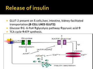Class insulin 2 | PPTX