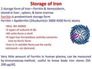 CLASS IRON METAB.ppt