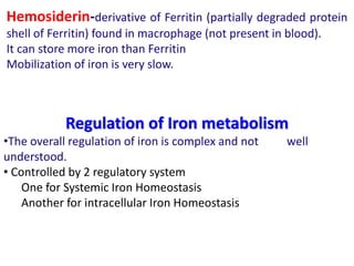 CLASS IRON METAB.ppt