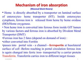 CLASS IRON METAB.ppt