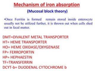 CLASS IRON METAB.ppt