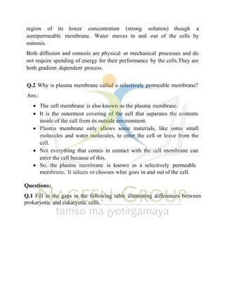 Class 9 Science NCERT Solution Chapter 5 The Fundamental Unit of Life | PDF