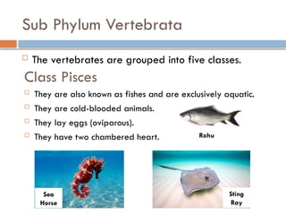 Class IX chapter 12 Diversity in living organisms part 3.pptx