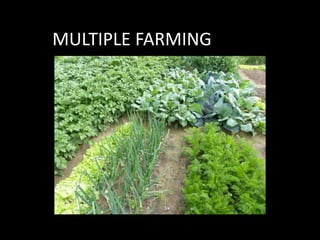 CLASS IX ECONOMICS - | PPTX