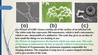 Class IX Science Why do we fall ill PPT Module 1_3.pdf