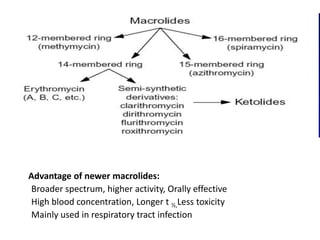 Class macrolides | PPT