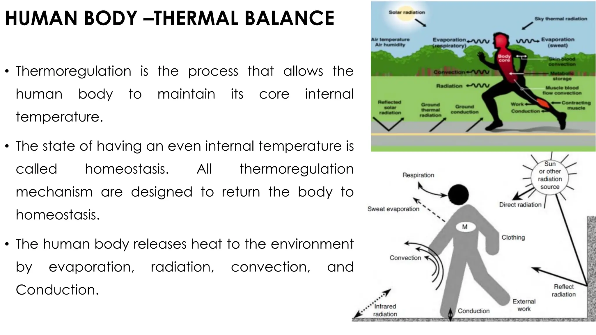 THERMAL COMFORT AND HUMAN BODY HEAT BALANCE.pdf