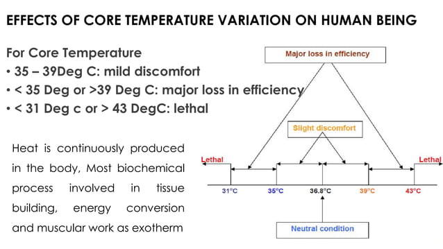 THERMAL COMFORT AND HUMAN BODY HEAT BALANCE.pdf