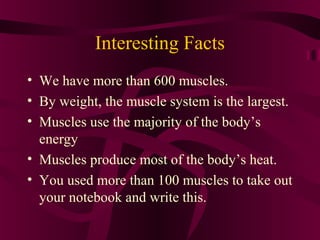 Muscle notes | PPT