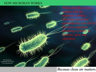 Class O Armaflex Plus With Microban | PPT