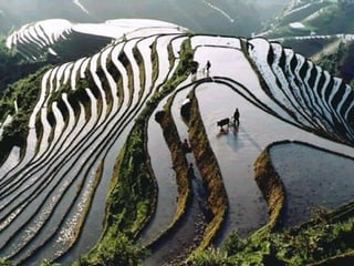 Geographical Features of China | PPT