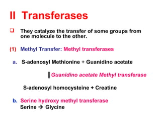 Class of enz lec 4 | PPT | Chemistry | Science