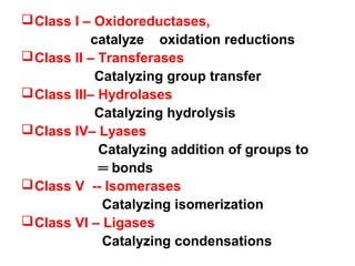 Class of enz lec 4 | PPT