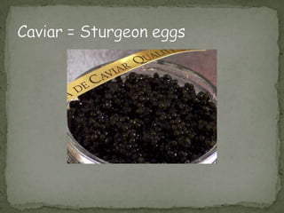 Class osteichthyans | PPT