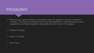 Class pisces | PPTX