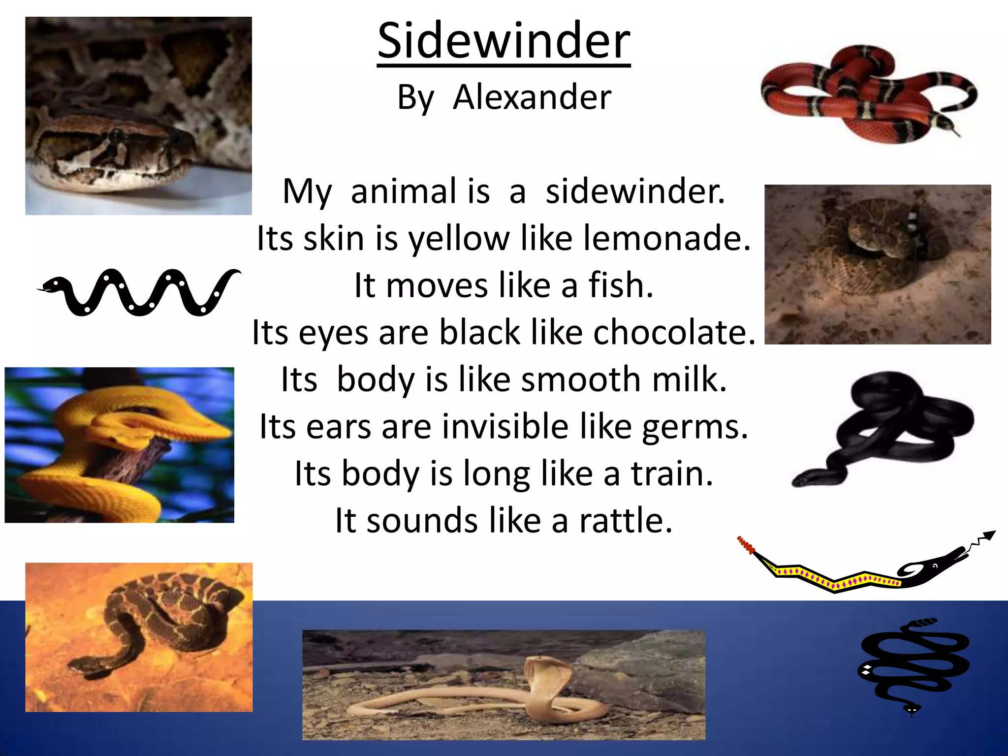 Miss Griffin's Class poems | PPTX | Dogs | Pets