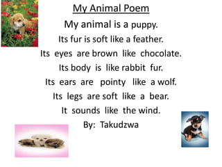 Miss Griffin's Class poems | PPTX | Dogs | Pets
