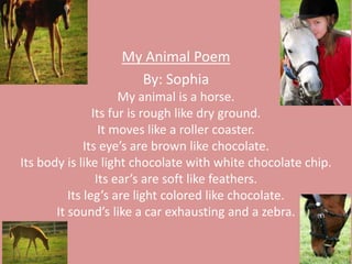 Miss Griffin's Class poems | PPTX | Dogs | Pets