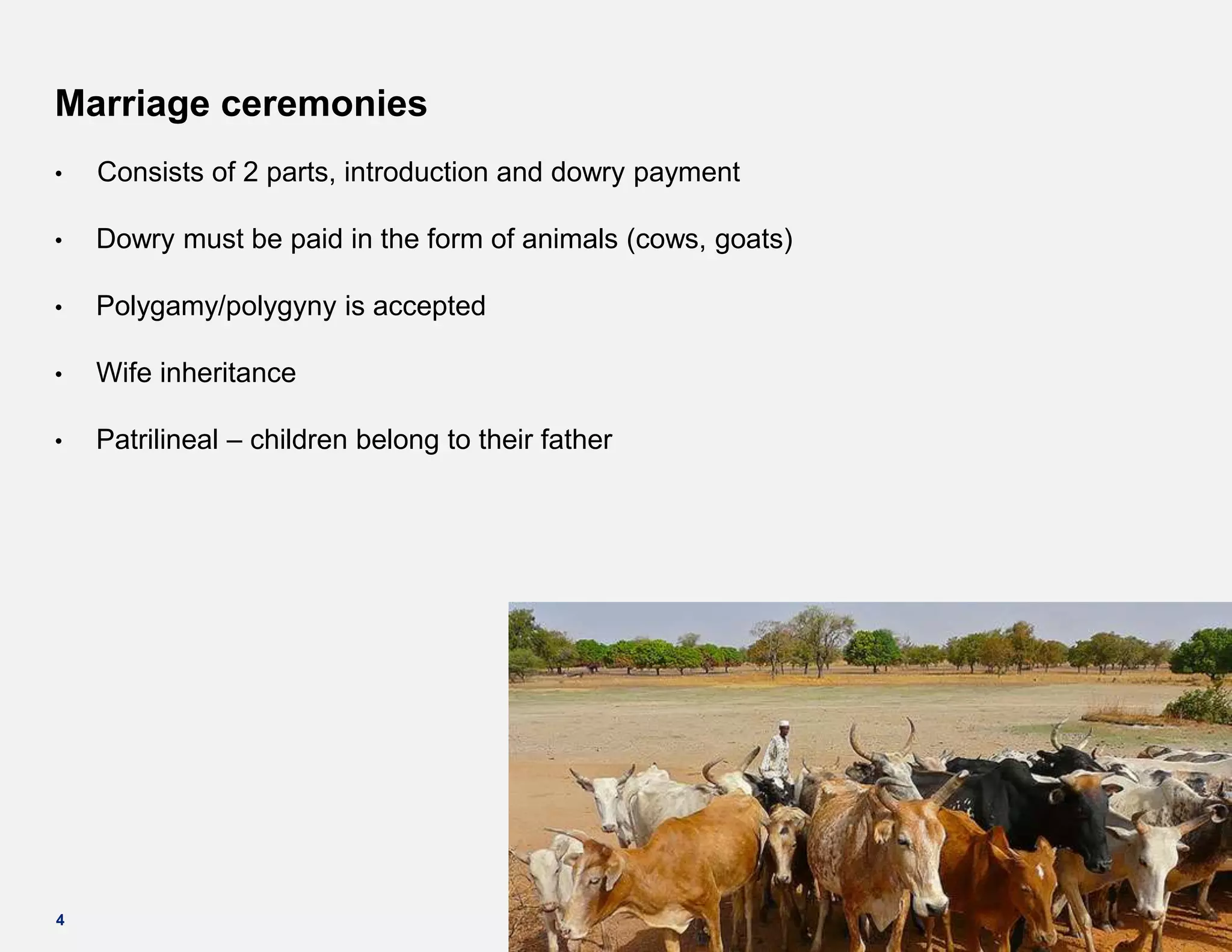 Luo culture in brief | PPTX