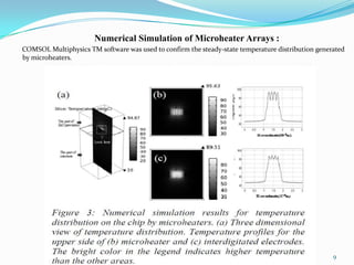 Class presentation1(101063422) (1) | PPTX | Science