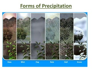 Presentation on Precipitation based on Remote Sensing | PPTX | Weather ...