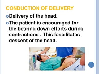 presentation on second stage of labor | PPTX