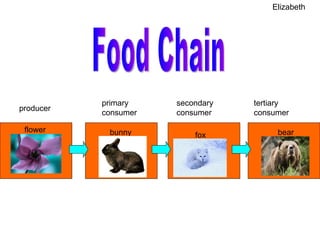 Mrs. Parker's Food Chain Class Project | PPT