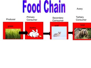 Mrs. Parker's Food Chain Class Project | PPT