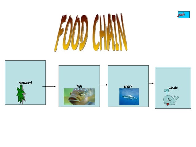 Mrs. Parker's Food Chain Class Project | PPT