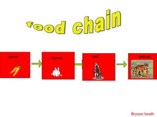 Mrs. Parker's Food Chain Class Project | PPT