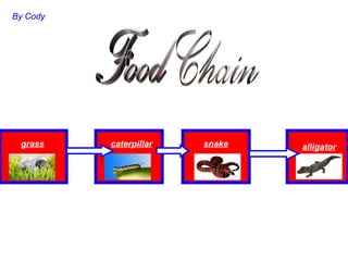 Mrs. Parker's Food Chain Class Project | PPT